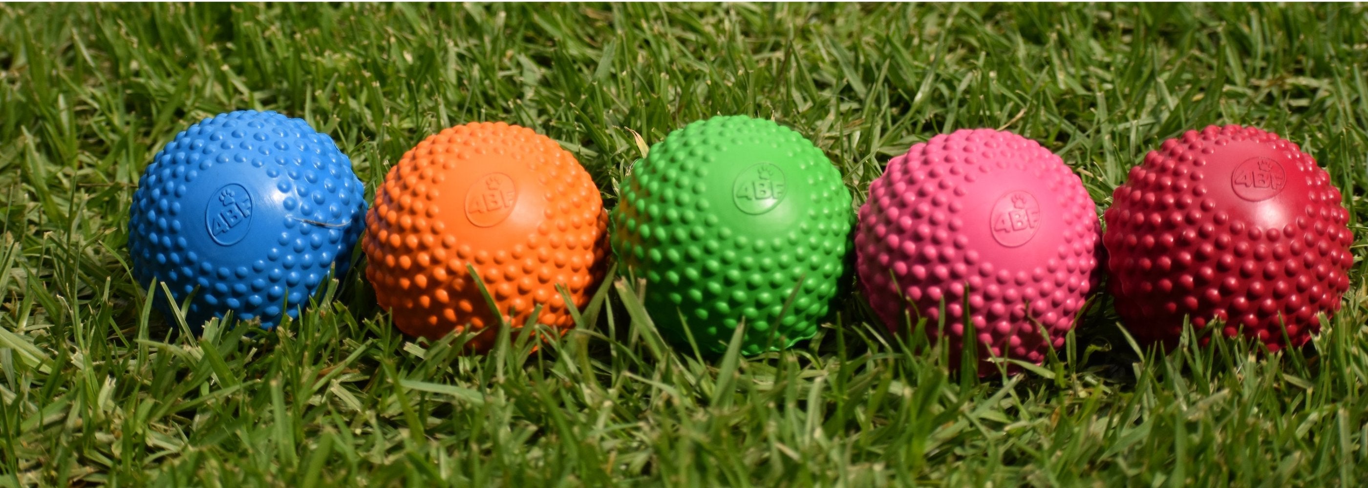 4BF – Katie's Bumpers